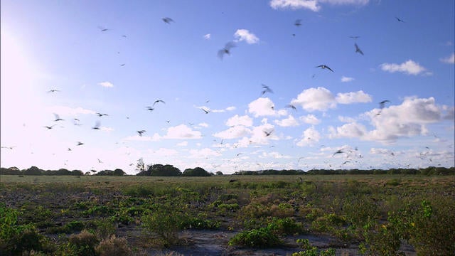 Wake Island: Where America's day really begins - CBS News