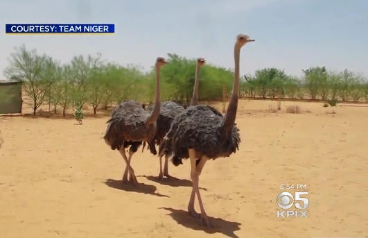 How people in a California RV park are helping fight North African ...