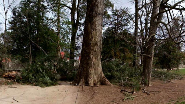 More bottles of cherries found at George Washington's Mount Vernon home ...