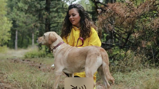 50-pound rabid beaver attacks girl swimming in Georgia lake; father ...
