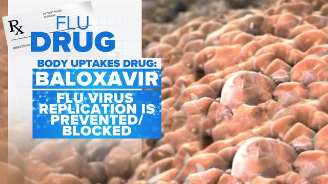 FDA agrees to fast-track review of one-dose flu drug - CBS News
