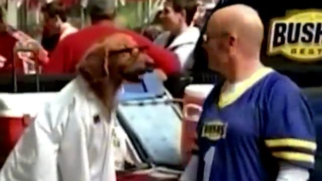 The dog who played Duke in Bush's Baked Beans commercials has died ...