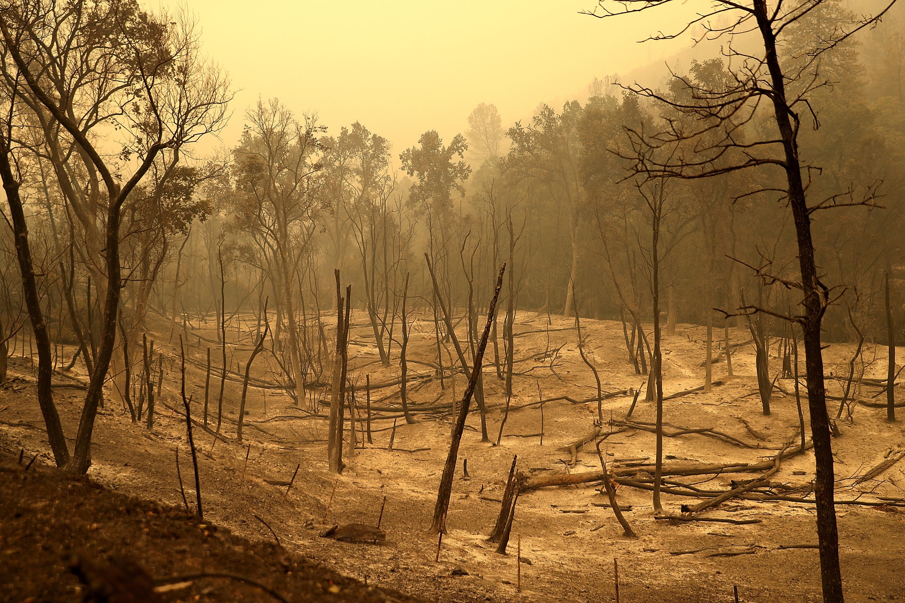 Carr Fire in California: 3 family members killed, destroys hundreds of ...