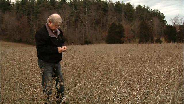 Family farms going bankrupt: Tariffs, low prices for corn, soybeans ...