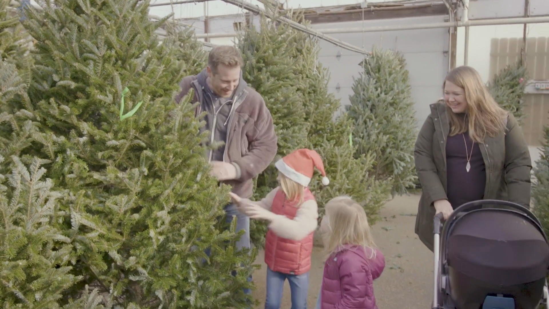 Real or fake? Christmas tree competition heats up - CBS News