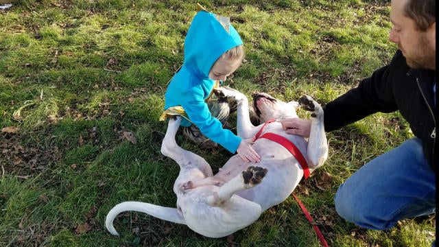 6-year-old Michigan boy with ADHD and anxiety gets service dog who was ...