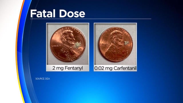 Carfentanil: Officials warn of new drug 100 times more potent than ...