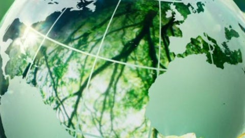 Global warming: Planting a trillion trees could be the "most effective ...