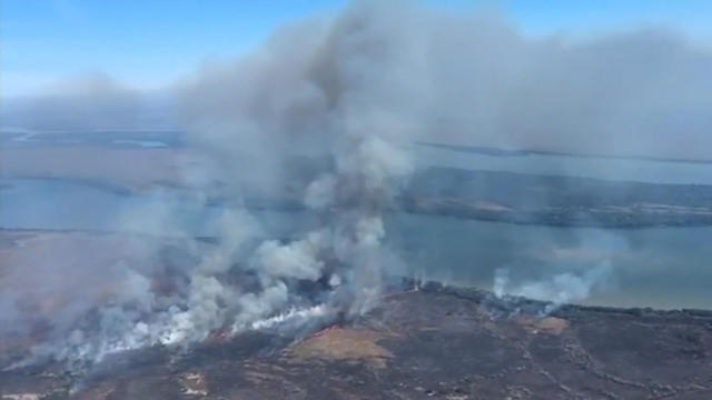 Amazon rainforest on fire: Parts of the Amazon rainforest are on fire ...