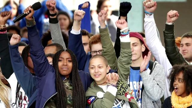 Parkland shooting-inspired "red flag" law still highly controversial in ...