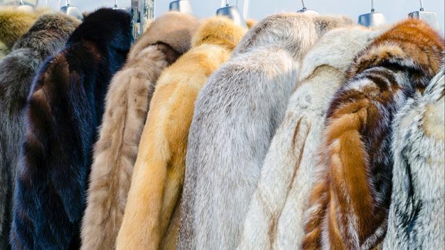 Macy's fur: Macy's announces it will stop selling fur by the end of 2020 fiscal year - CBS News