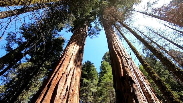 Megadrought emerging in western U.S. could be the worst in 1,200 years ...
