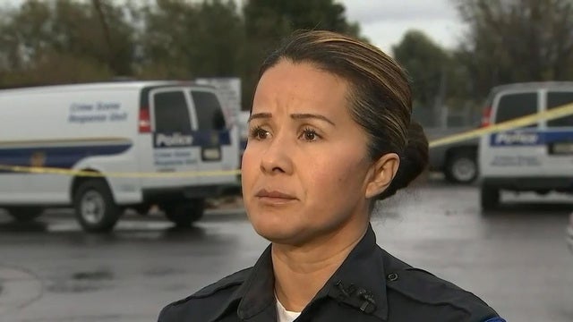 Rachel Henry, Phoenix mom, kills 3 kids under the age of 4, police say ...