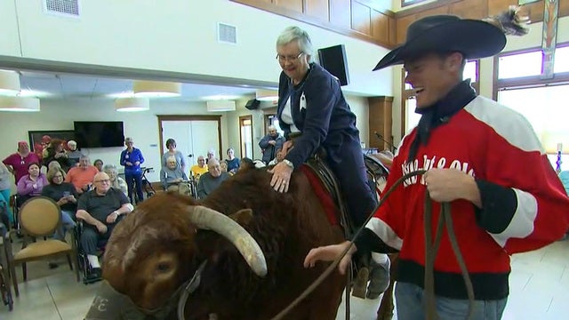 Therapy bull inspires seniors to grab life by the horns - CBS News