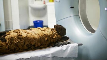 Fresh look at DNA from glacier mummy Oetzi the Iceman traces his roots ...