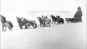 In 1925, a sled dog named Balto helped carry life-saving medicine ...