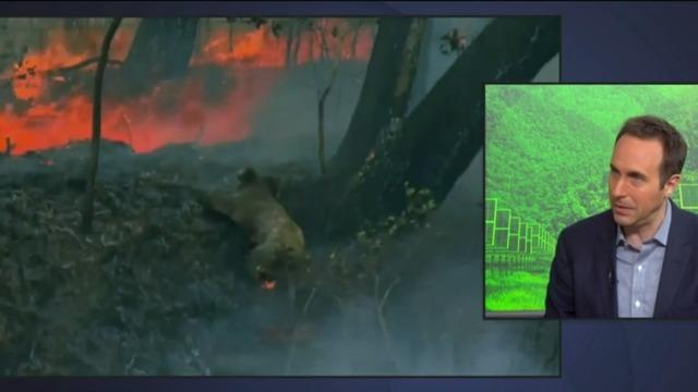 Climate change made Australia's fire season more intense, study finds ...