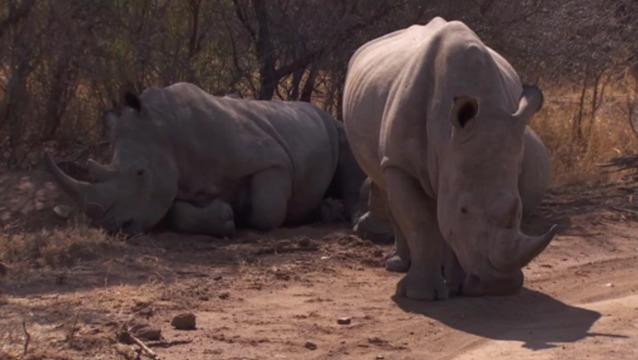 Wayne Lotter murder: 11 sentenced to death for 2017 killing of anti ...