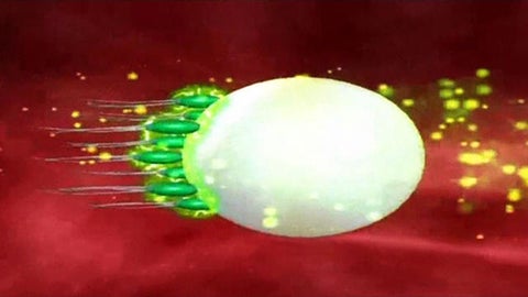 Cancer-fighting nanorobot may be able to target tumors, spare healthy ...