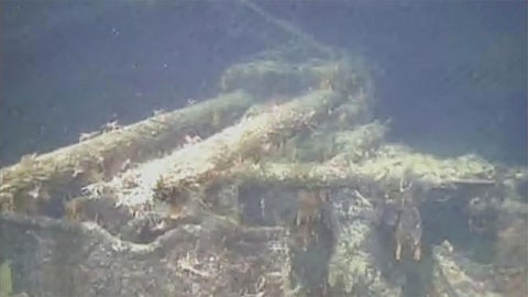 Wrecks of Nazi ships sunk during World War II emerge in River Danube ...