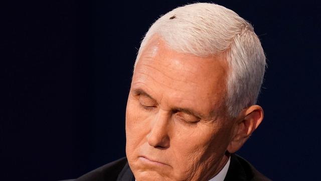 A fly landed on Mike Pence's head during the debate and rested there ...
