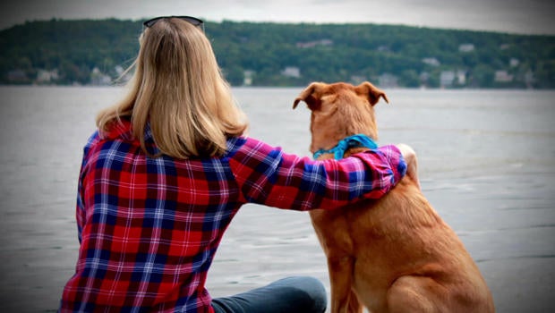 Keeping pets all in the family - CBS News