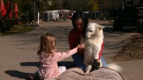 Rescue animals offer comfort to children with disabilities - CBS News