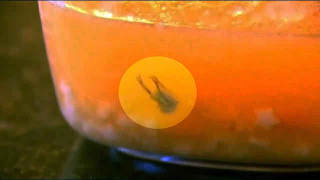 Mom claims chicken embryo came out of soup can - CBS News
