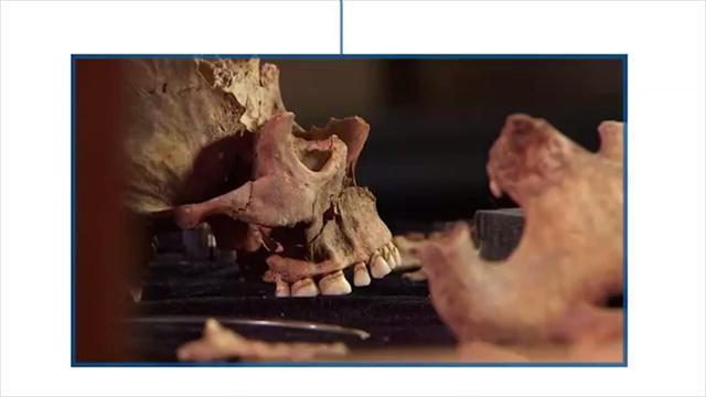 Forensic science solves mystery of Richard III's death - CBS News