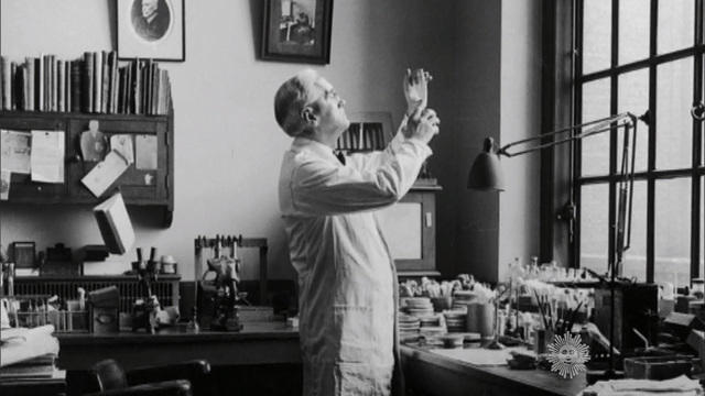 First Penicillin Discovered
