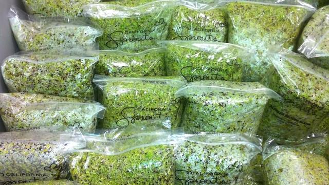 Broccoli compound shows promise for treating autism - CBS News