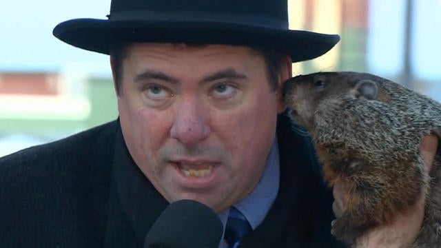 Groundhog Day 2015: Conflicting forecasts and a bitten mayor - CBS News