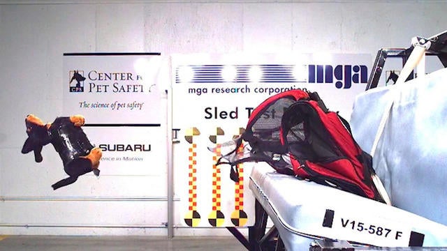 Crash tests raise concerns over safety of pet carriers - CBS News