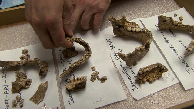 Jamestown discovery unearths new secrets about America's past - CBS News