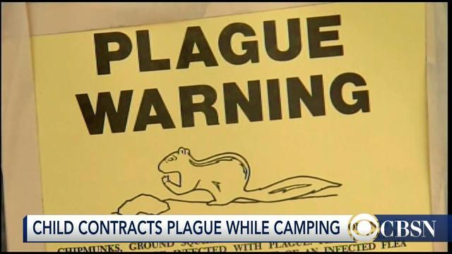 Child in California diagnosed with plague after camping at Yosemite ...