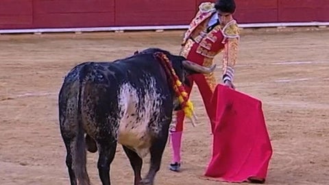Bullfighter killed by bull during fight in Spain for the first time in ...