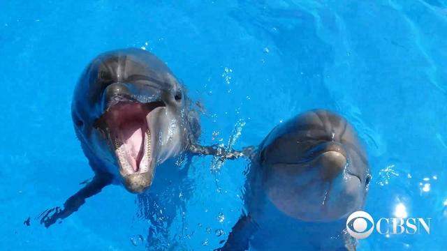 Beyond early bird or night owl: Expert says there are 4 types of ...