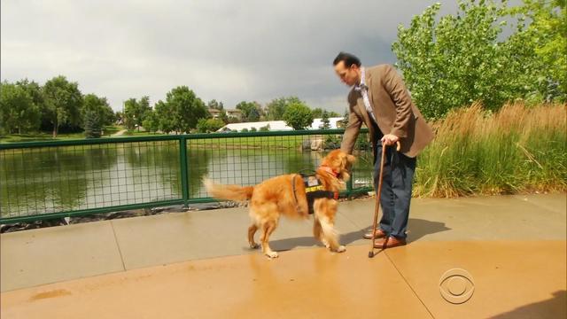 Iraq War vet Luis Carlos Montalvan with inspiring story of combating ...