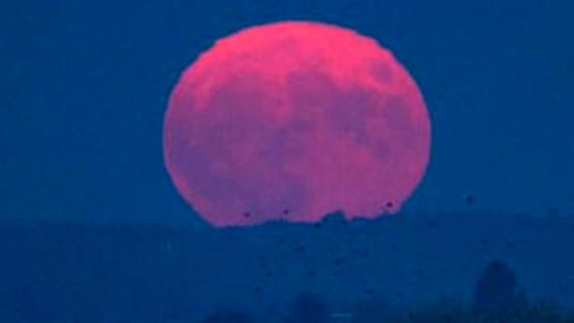 Look up! April's spectacular "Pink Moon" rises this week - CBS News
