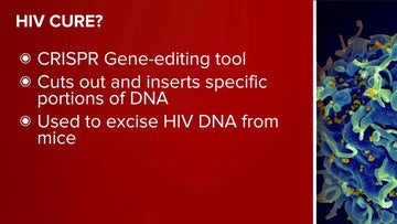 CRISPR gene editing eliminates HIV infection in mice, researchers say ...