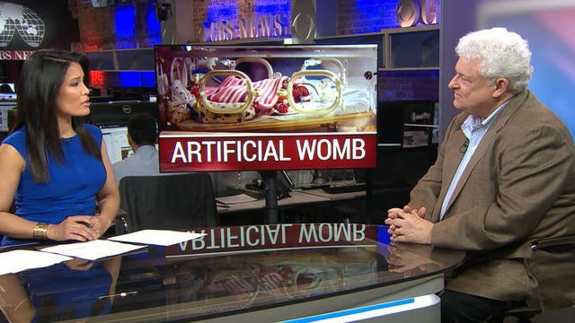 Artificial womb for baby lamb raises hope for premature babies - CBS News