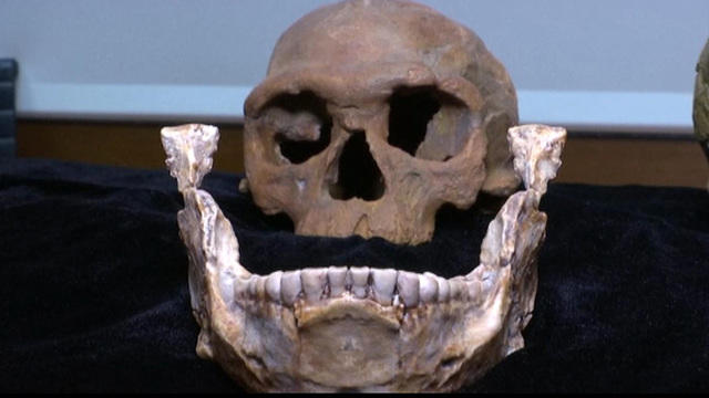 Oldest fossils of our species push back origin of modern humans - CBS News