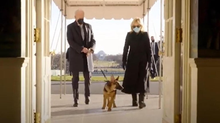 Bidens welcome new dog named Commander - CBS News