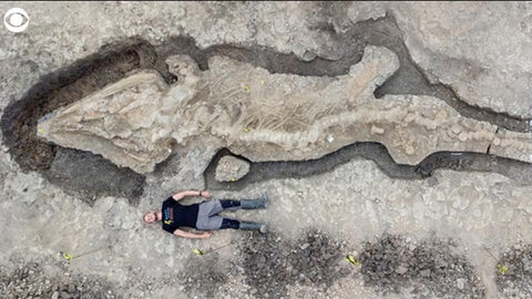 36-million-year-old fossil of "sea monster" found in Peruvian desert ...