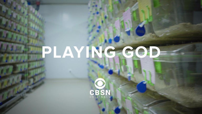 Playing God: "We are in the midst of a genetic revolution" - CBS News