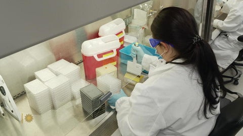 Major Pfizer plant in North Carolina restarts production 10 weeks after ...