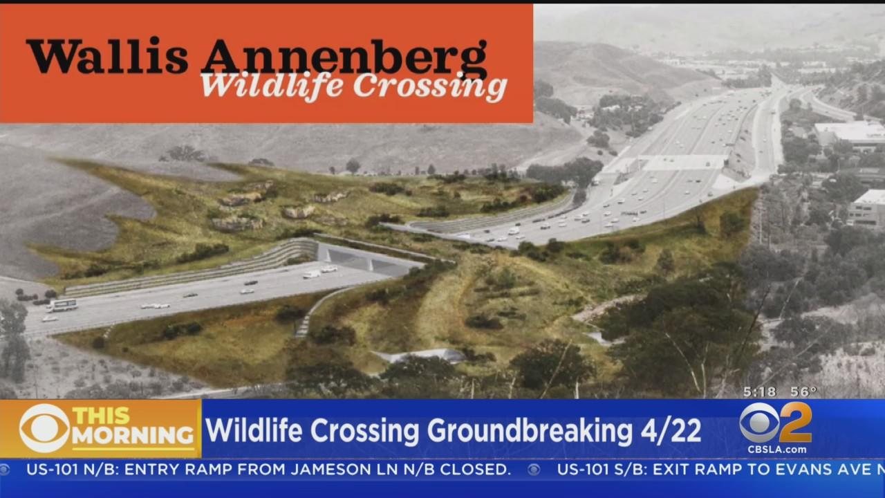 $87 million 101 Freeway wildlife crossing in Agoura Hills to break ...