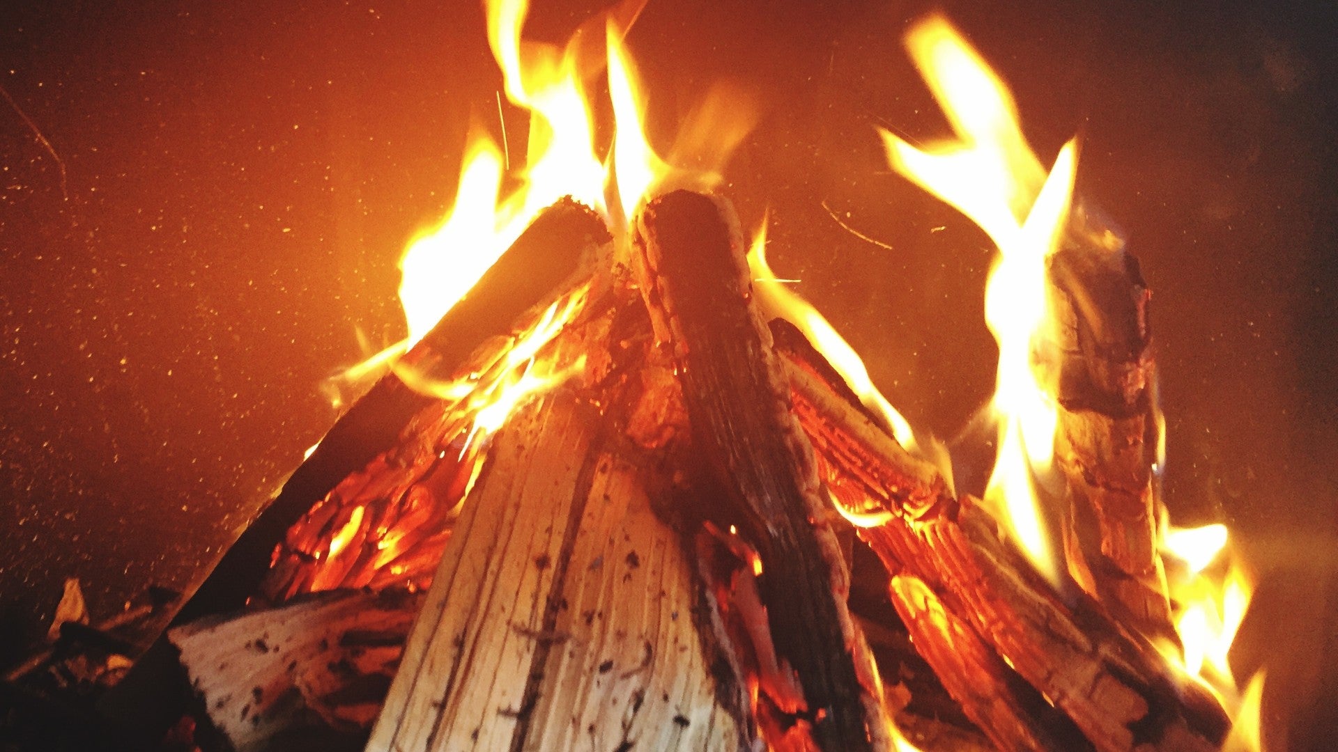 Dry weather and ice storm damage contributing to wildfire risk in ...