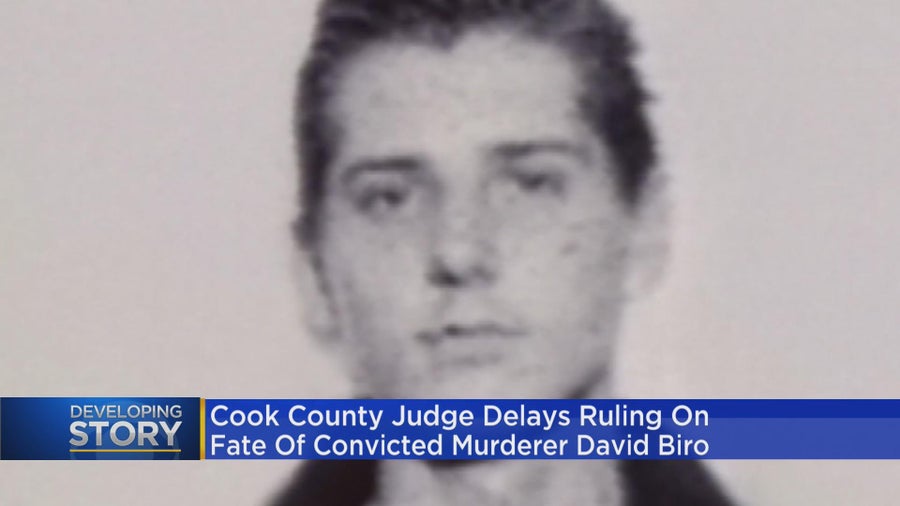 Cook County judge postpones decision on fate of David Biro, who ...
