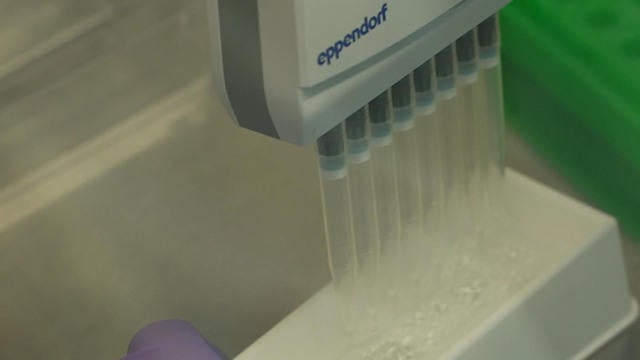 Inside the Ukrainian facility at the heart of Russia's "biological war ...